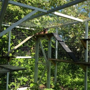 DIY Catio Building | Best Plans and Easy Ideas for 2023