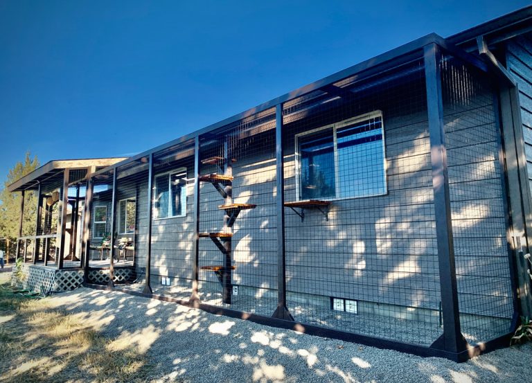 11 Catio Ideas Your Cat Will Love | DIY to Luxury Designs