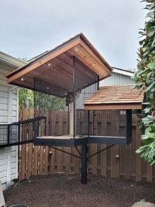 11 Catio Ideas Your Cat Will Love | DIY to Luxury Designs